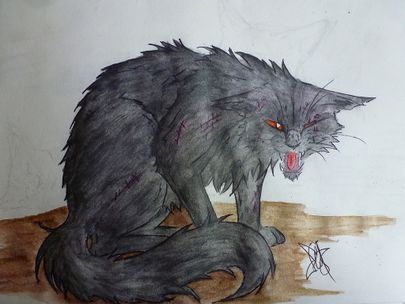 Greebo - Discworld & Terry Pratchett Wiki